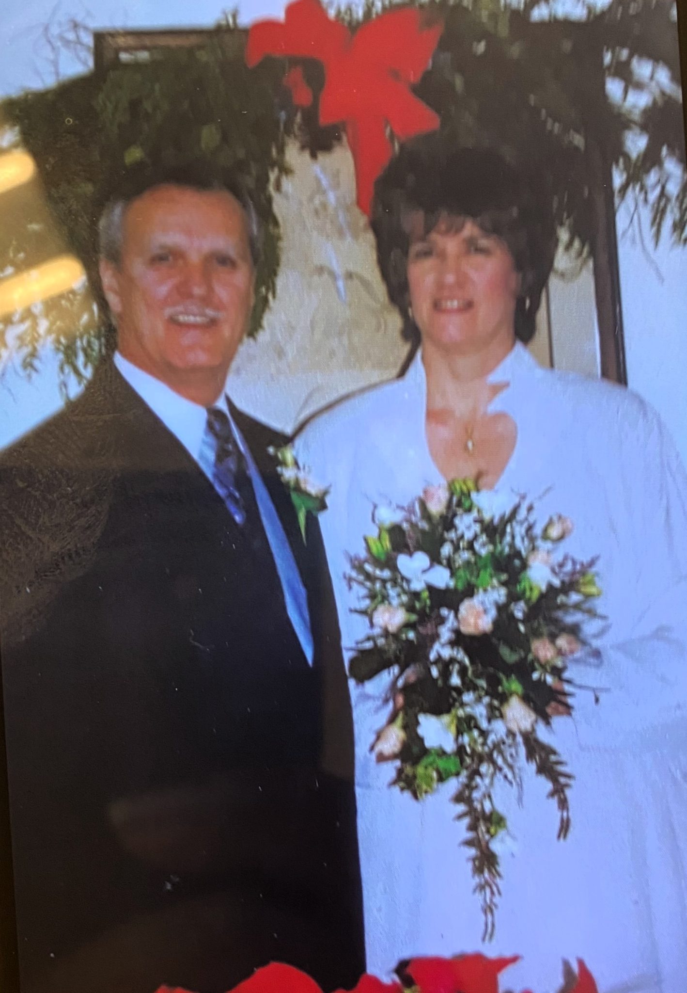 David Laird - Story In A Nutshell - Shepherd Village