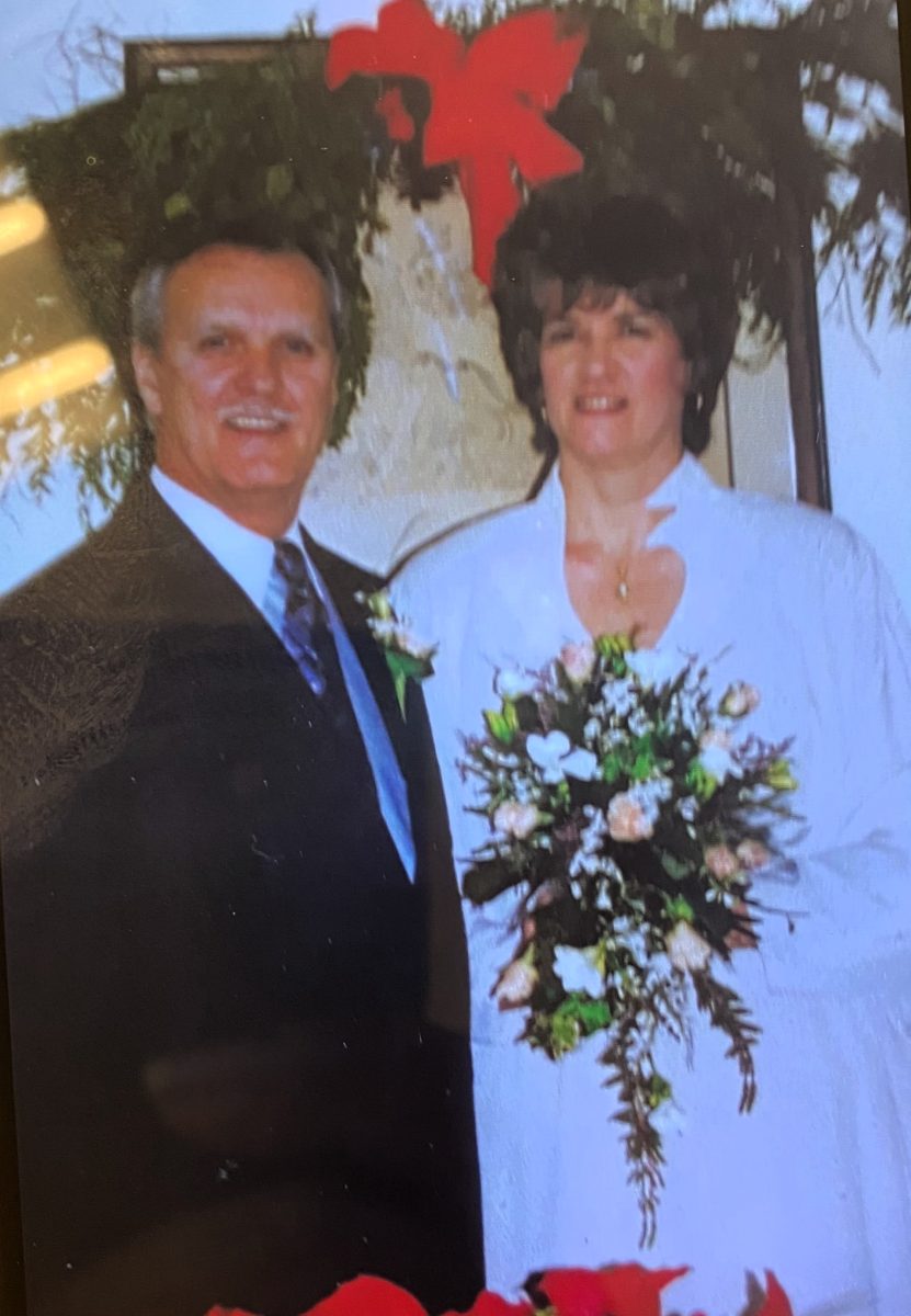 David Laird - Story In A Nutshell - Shepherd Village